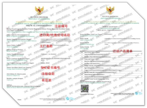产品出口印尼，食品饮品企业您应当知道的 | AL-BAQARA CERTIFICATION 出口清真认证